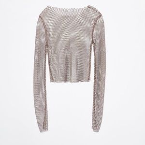 Zara | Tops | Zara Shimmer Rhinestones Mesh Top Iridescent Crystals ...